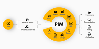 What is PIMS and How to choose the best one for your business | Niteco