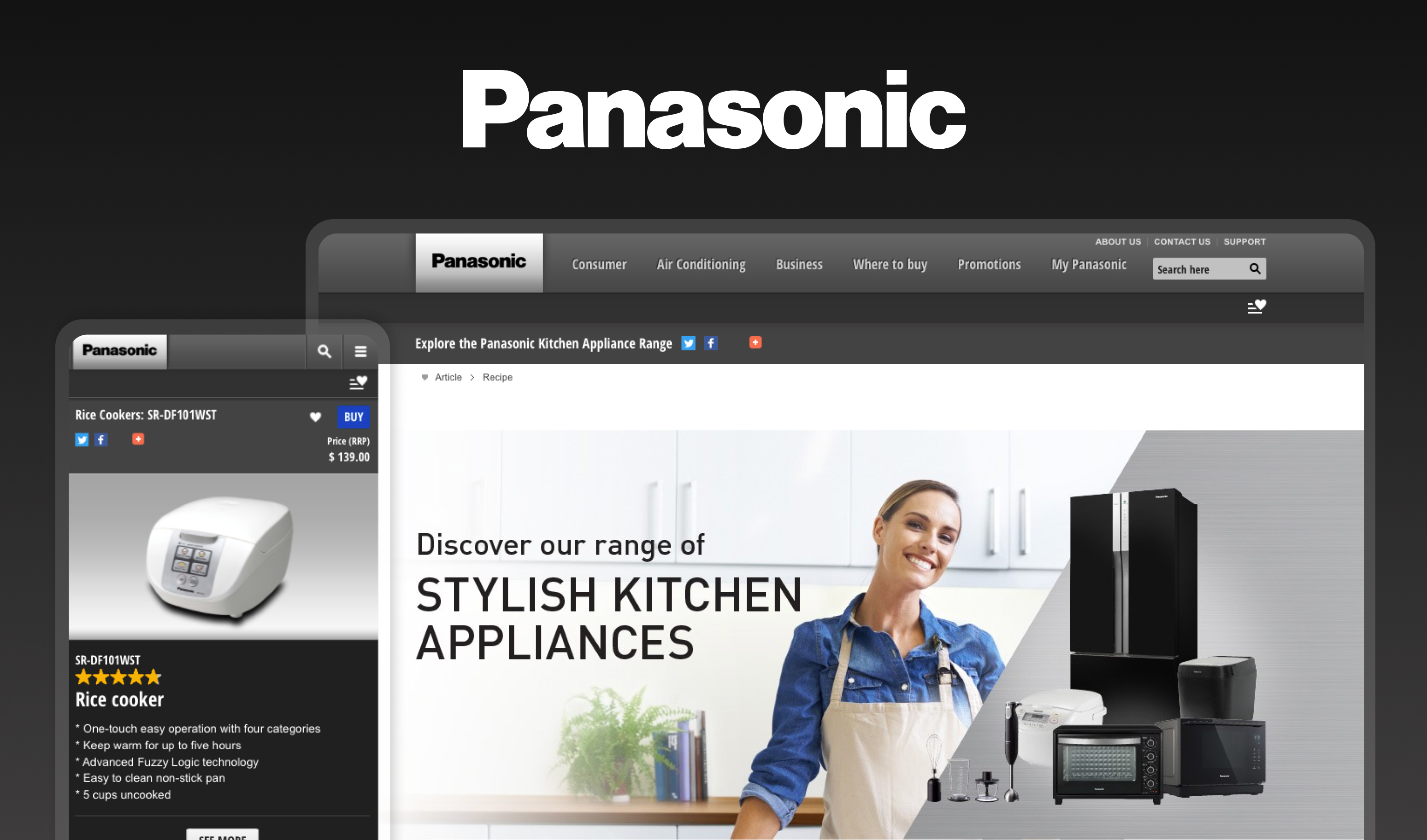 High performance and rapid optimization for Panasonic Australia | Niteco
