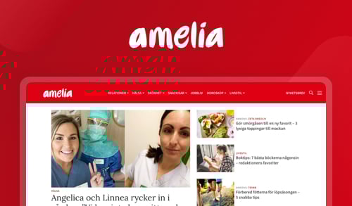 Bisnode Case Study | Niteco