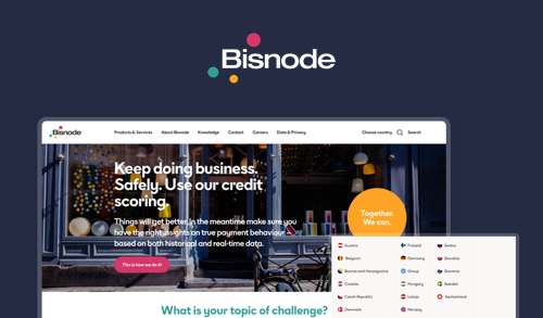 Bisnode Case Study | Niteco